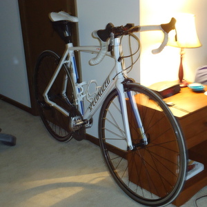 Stolen 2011 Specialized Allez Comp