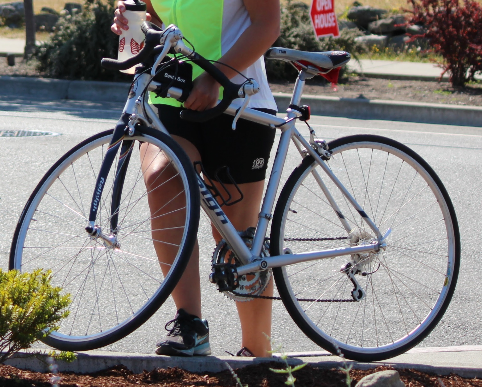 Stolen 1993 Raleigh C 50