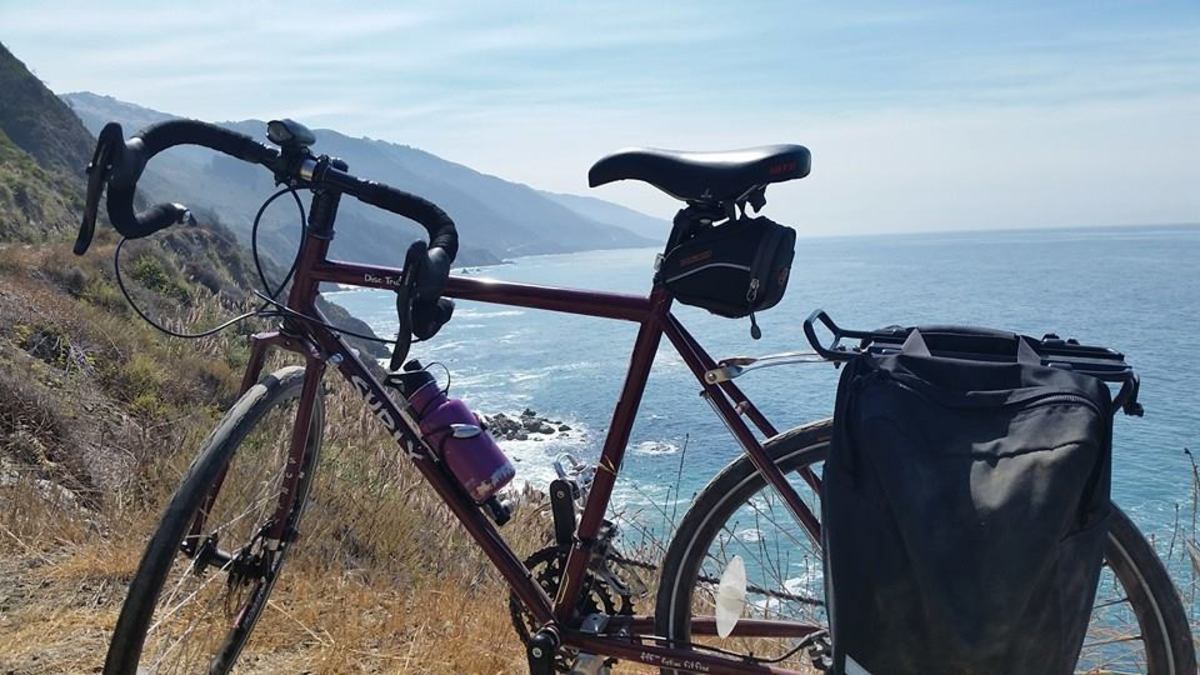 Stolen 2014 Surly Disc Trucker