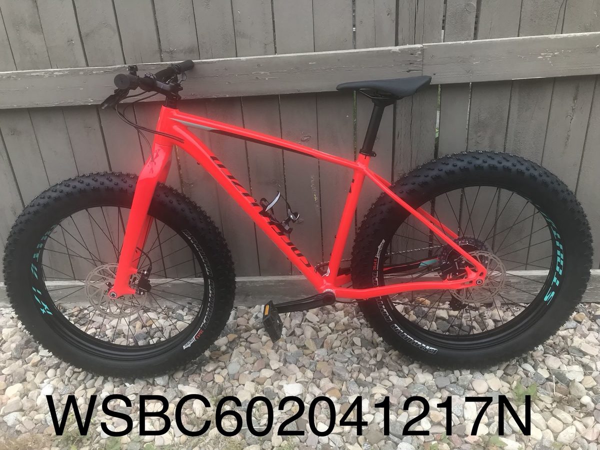 2018 Specialized Fatboy