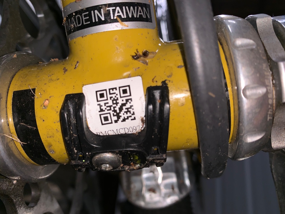 2019 Black Mountain Cycles Monster Cross Disc