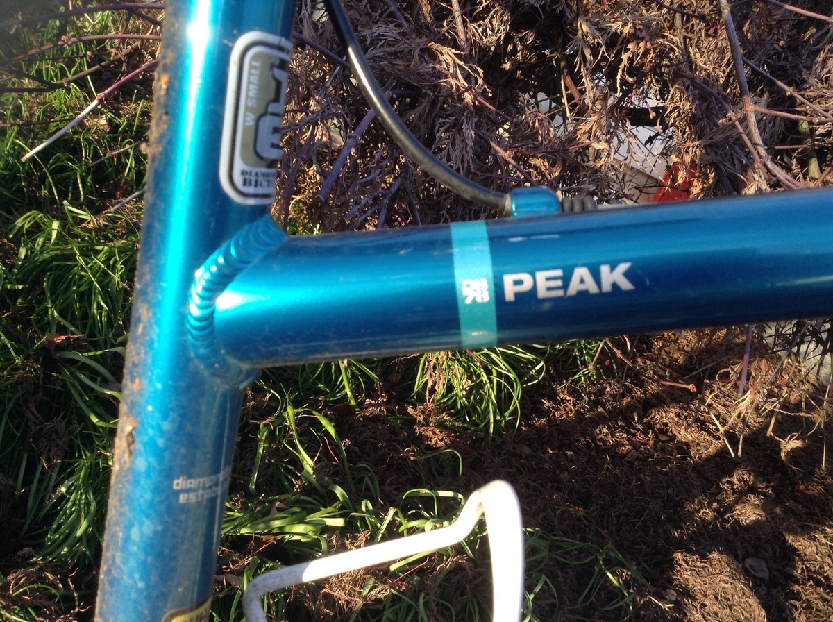 Stolen Diamondback Peak Db78