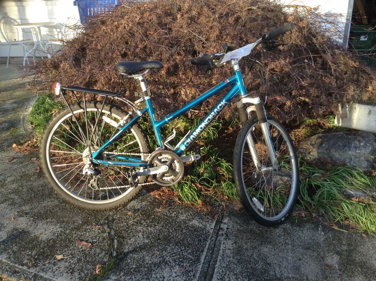 Stolen Diamondback Peak Db78
