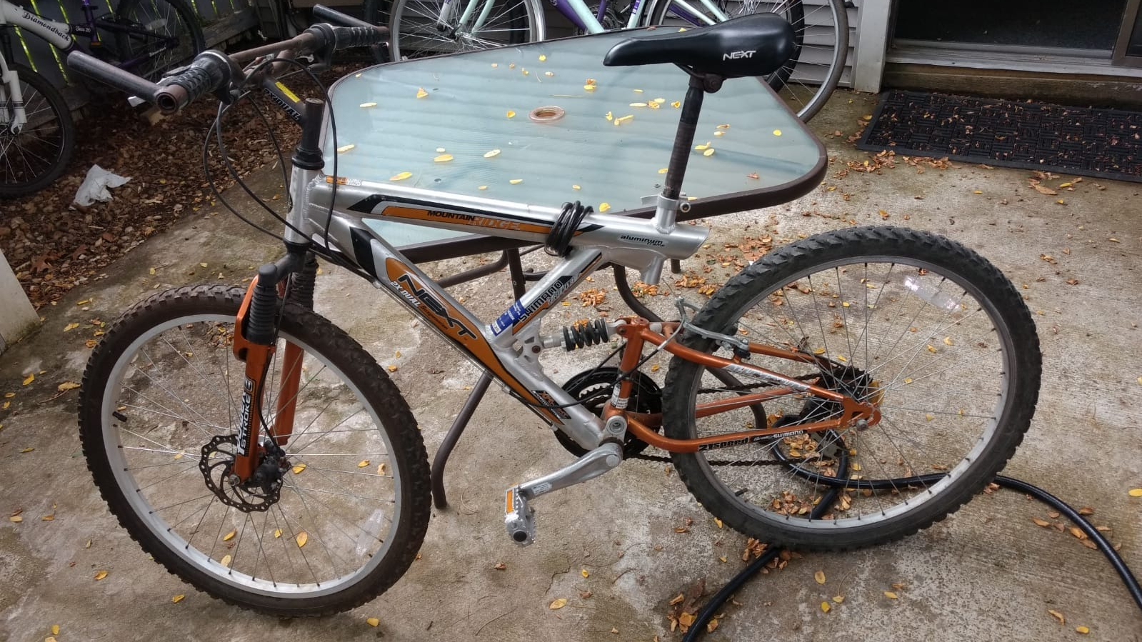 2008 Next Mountain Ridge