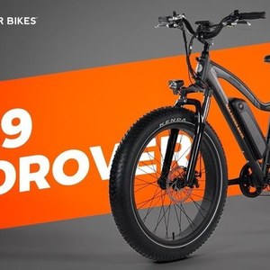 Stolen 2019 Rad Power Bikes Rover