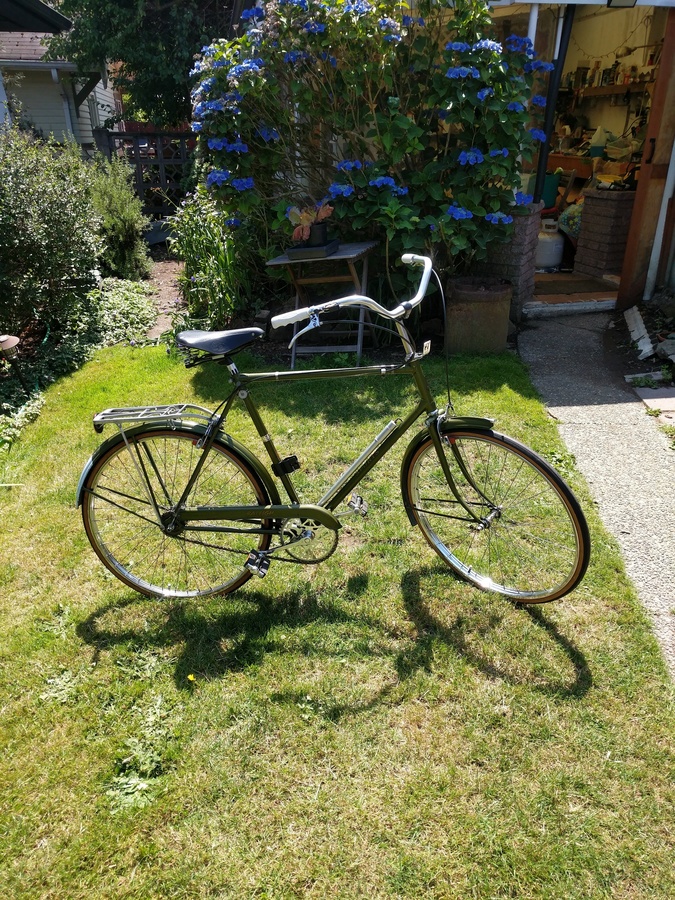 1969 Raleigh Sports