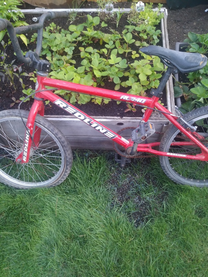 1984 Redline 340