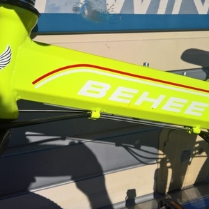 Stolen 2018 BEHEE Mountain light green