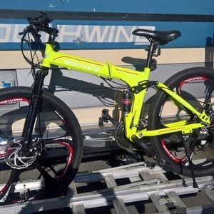 Stolen 2018 BEHEE Mountain light green