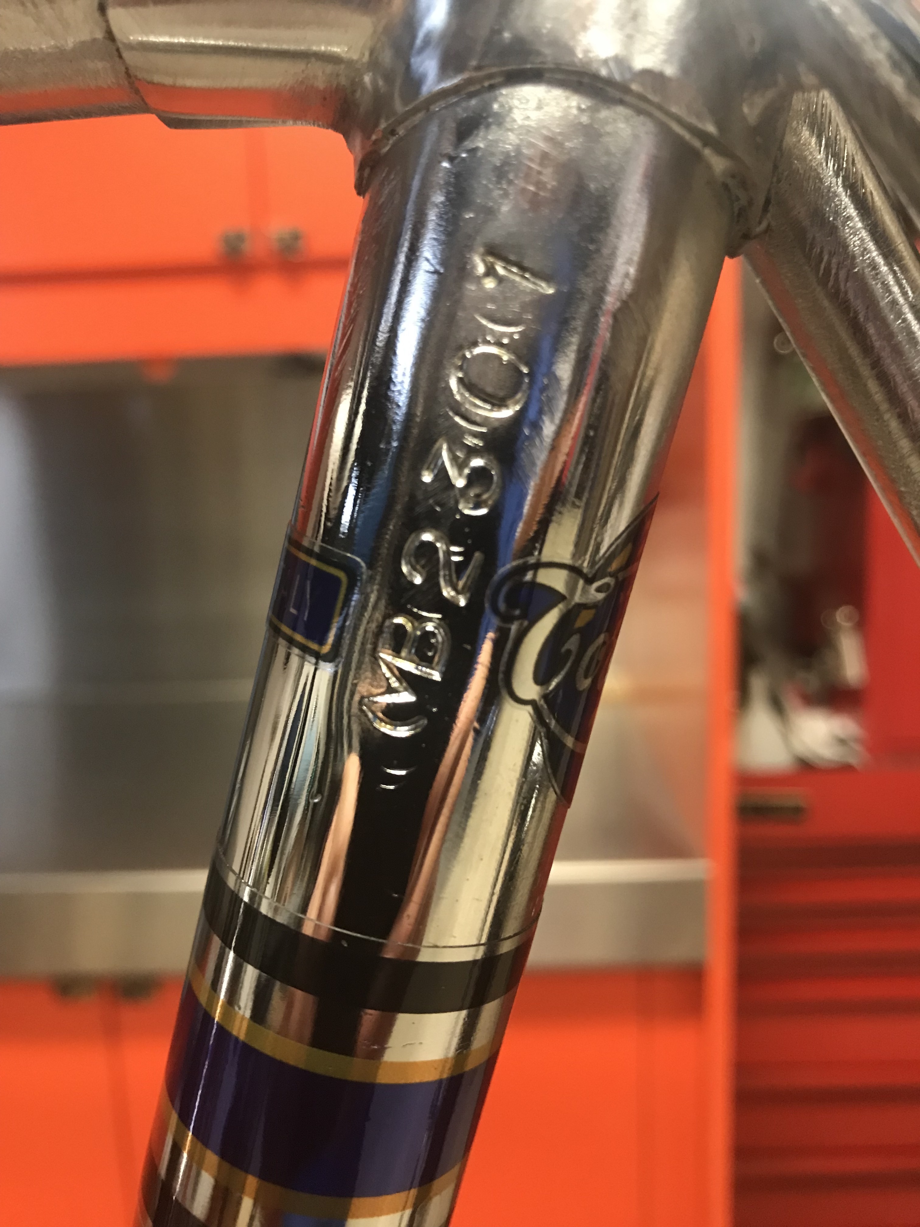 1965 Torpado Modello Luxe