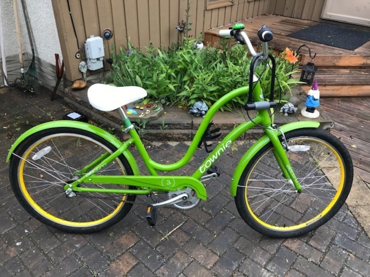 2015 Electra townie