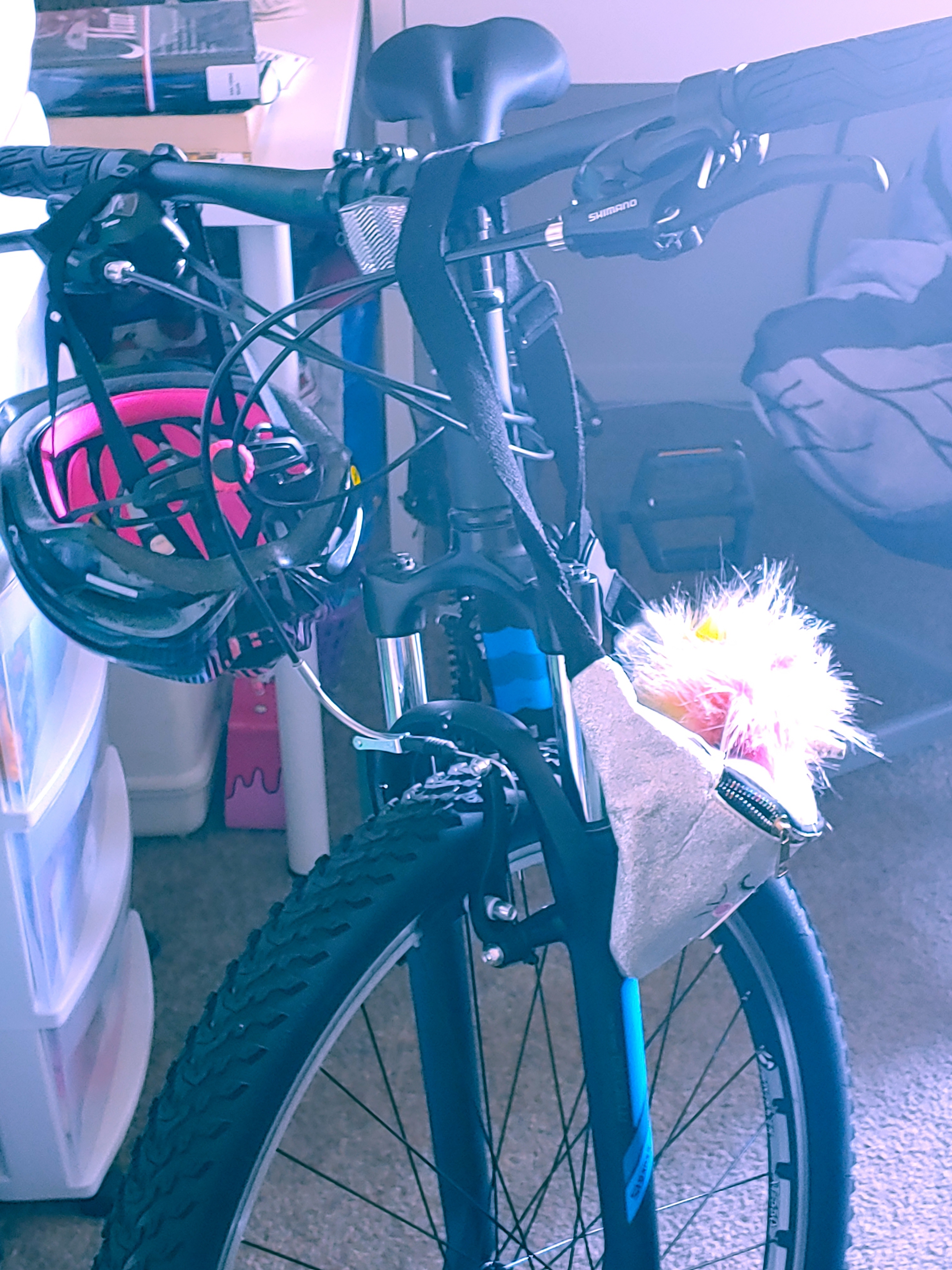 2019 Trek 820
