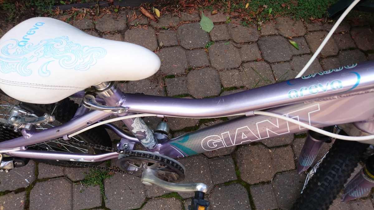 2012 Giant Areva 20