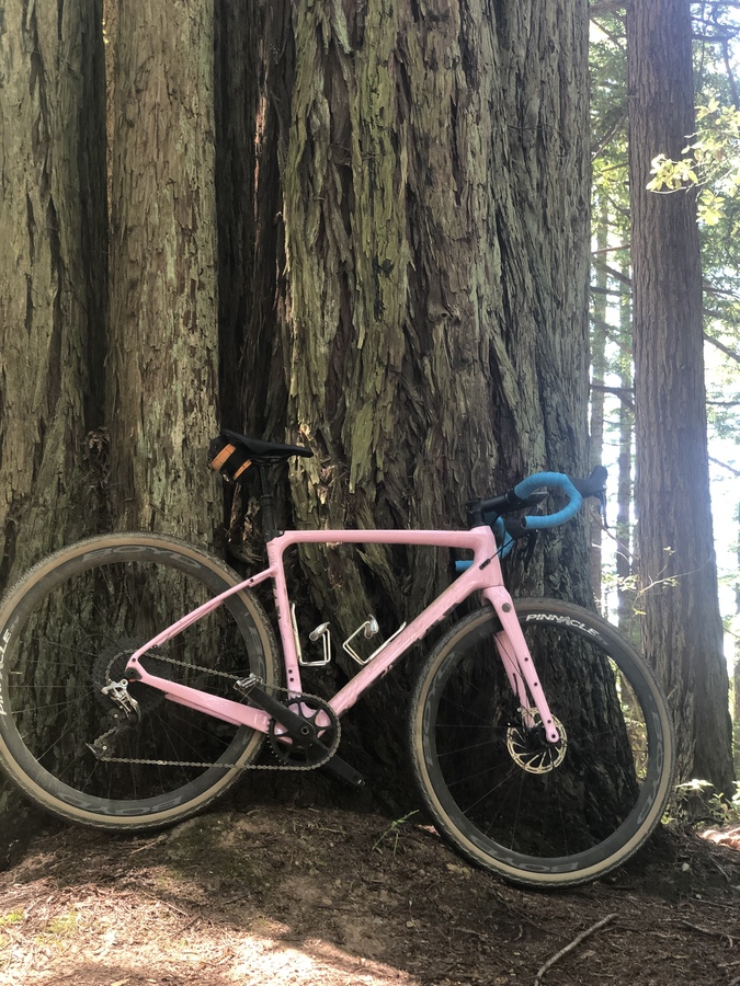 2019 Thesis Bike OB1