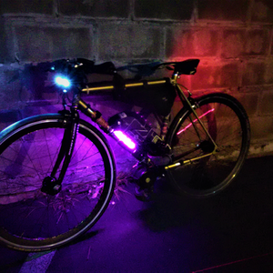 2009 Pake Limited Edition Track Frame