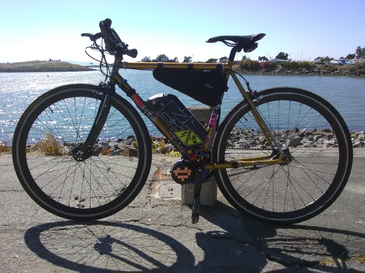 2009 Pake Limited Edition Track Frame