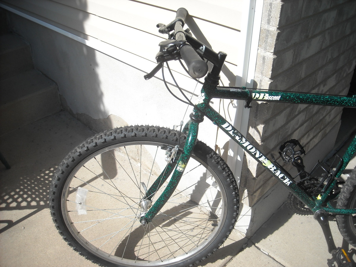 Diamondback DB Ascent