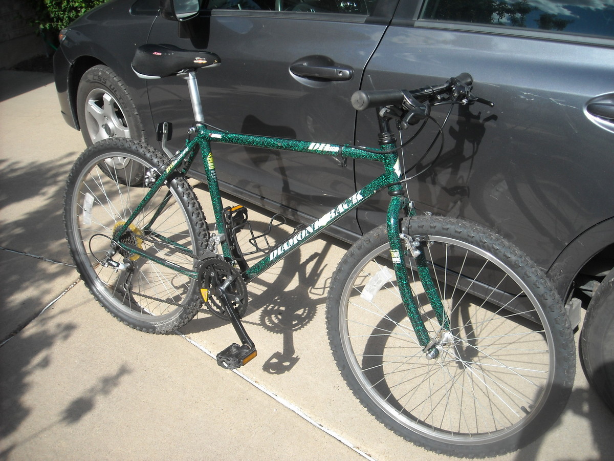 Diamondback DB Ascent