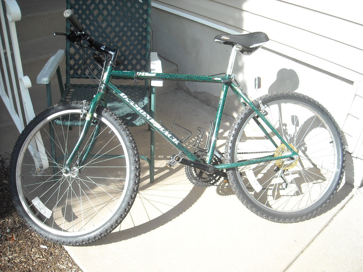 Diamondback DB Ascent