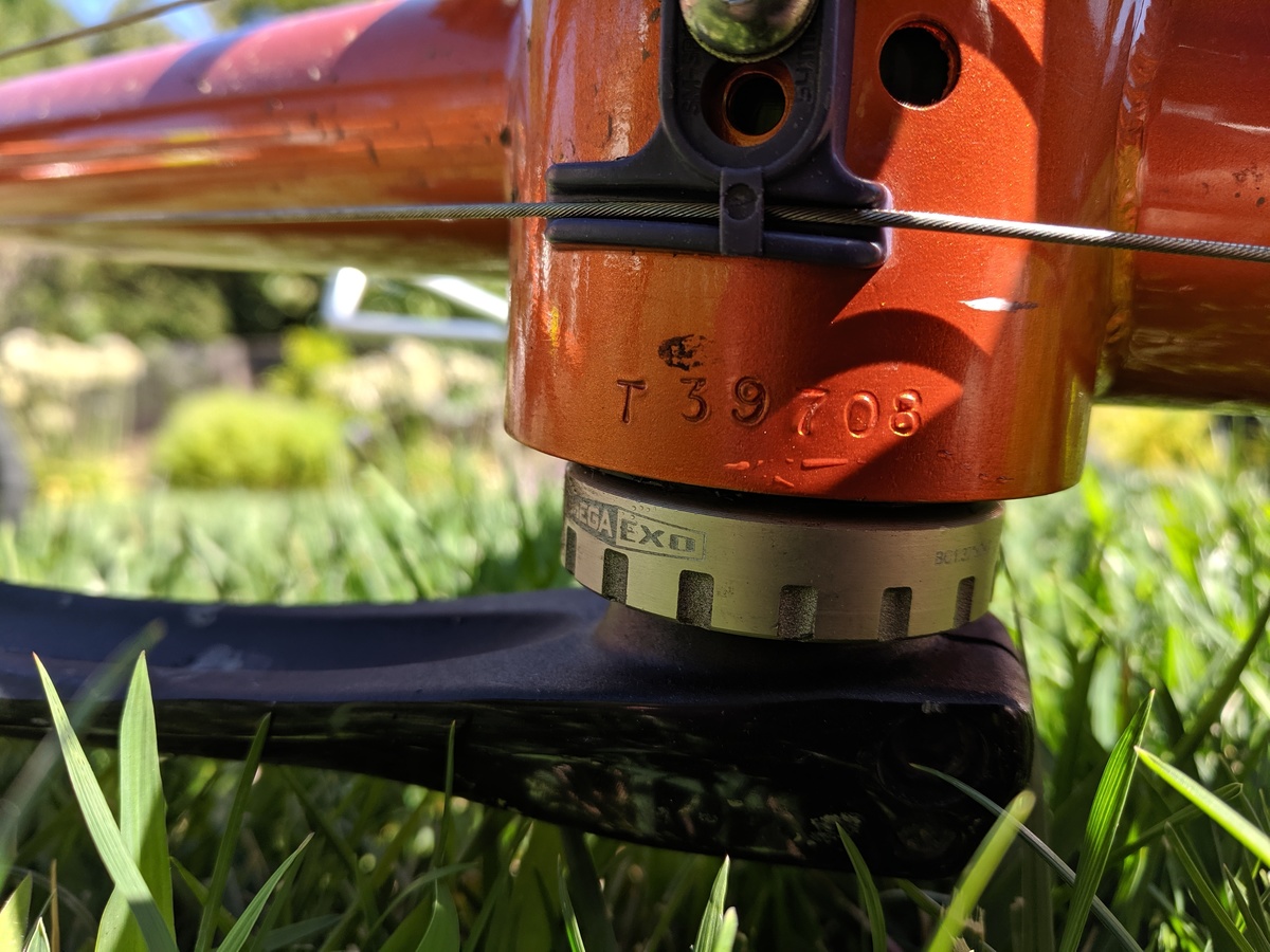 2009 Co-Motion Speedster tandem