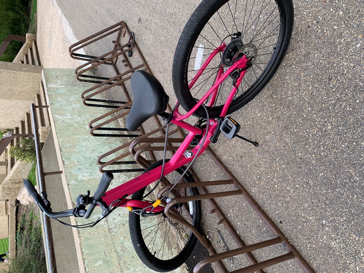2019 Norco Bikes Scene 3