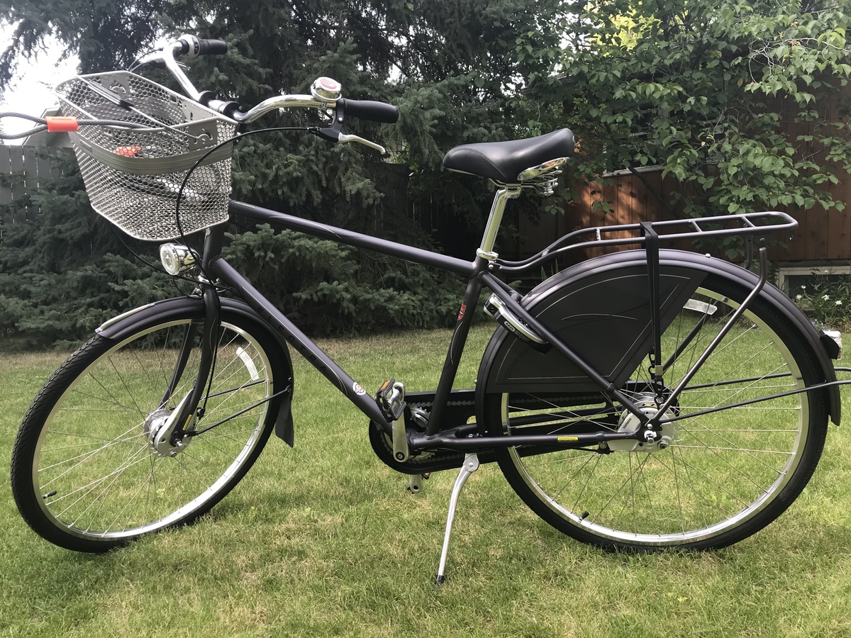 2019 Electra Amsterdam Royal