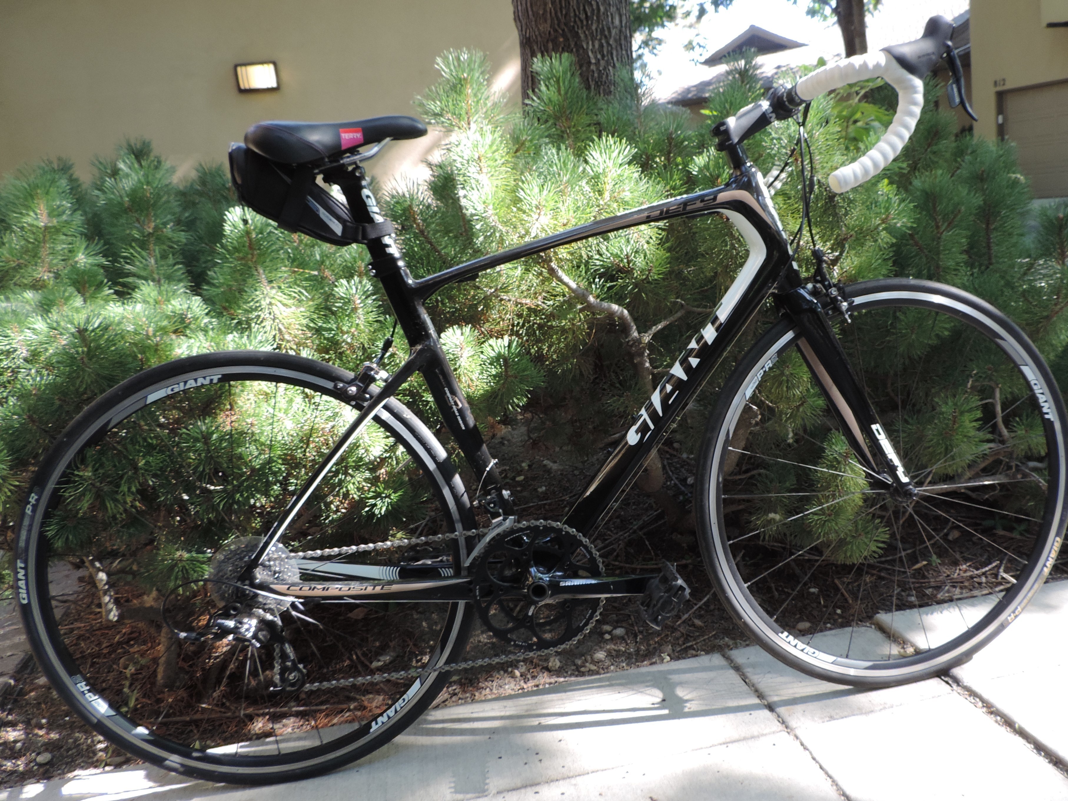 2013 Giant Defy Composite 2