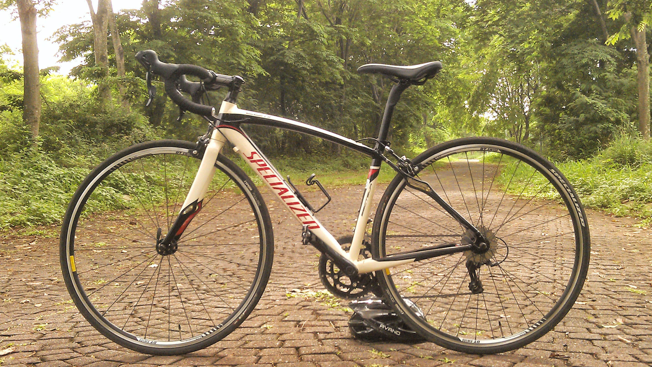 Stolen 2011 Specialized Secteur Comp Compact