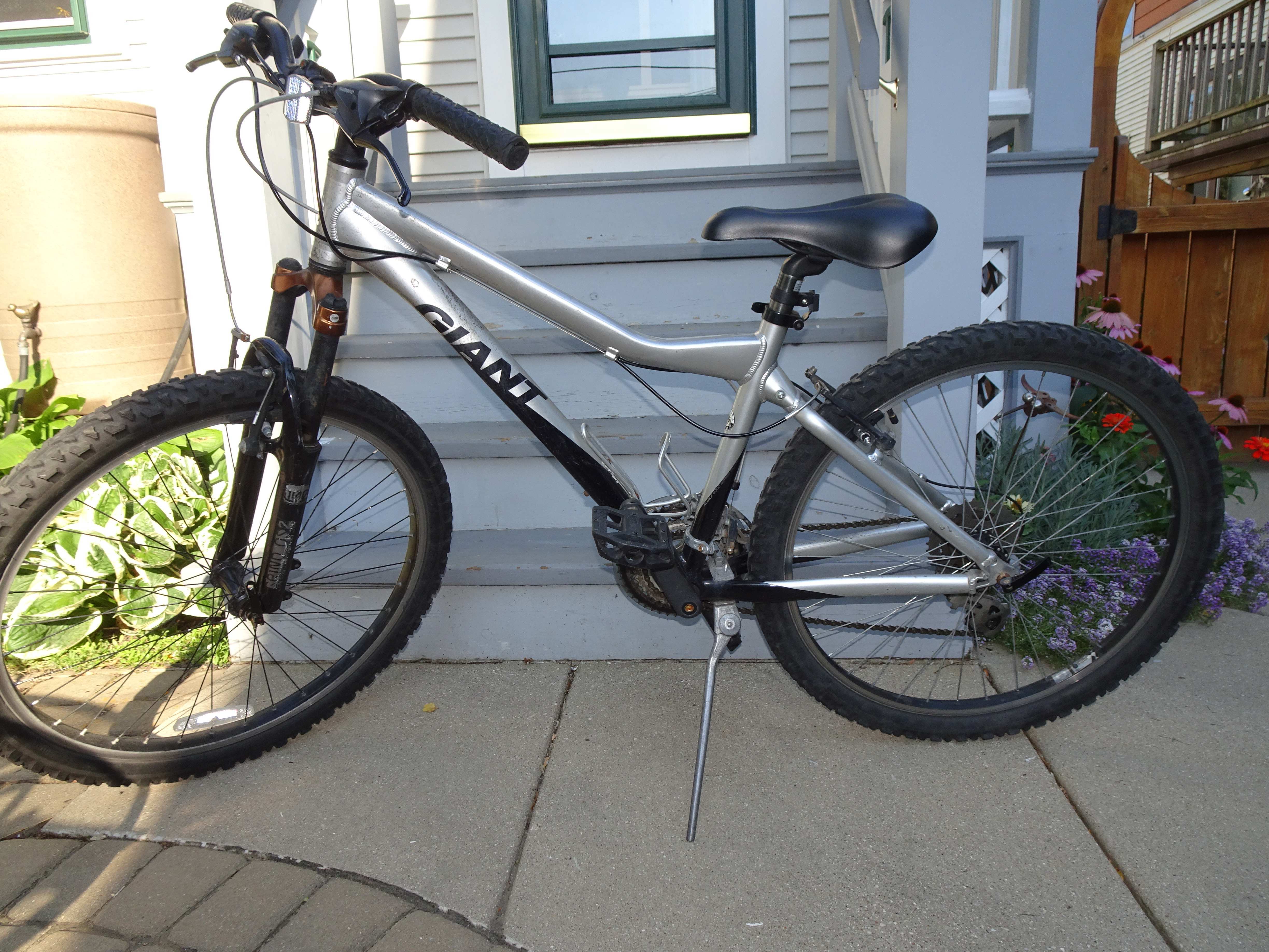 2007 Giant 16" ANIMATOR BLACK