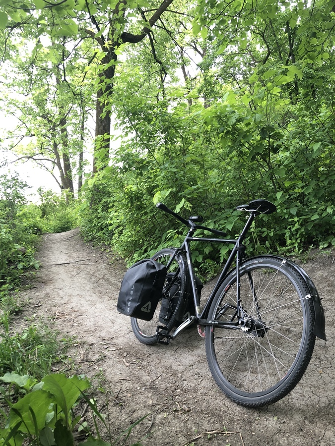 2015 Surly Straggler