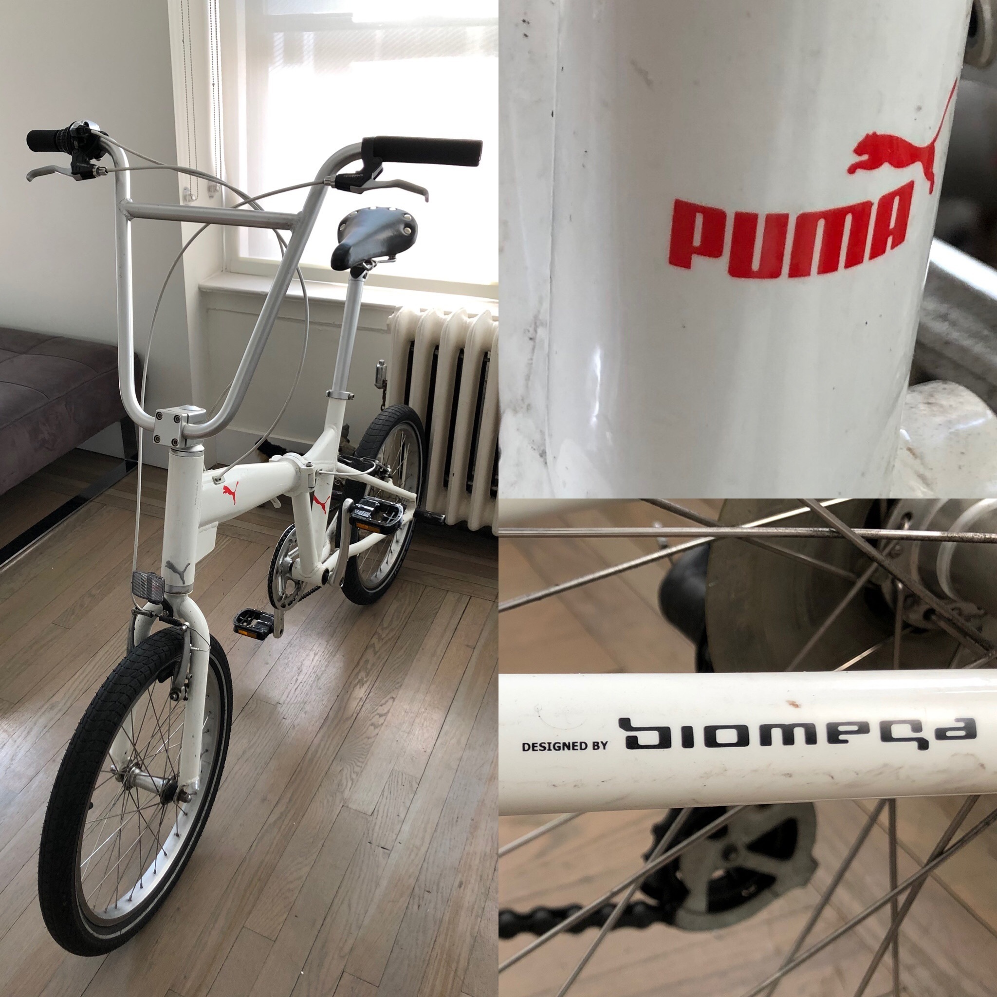 Stolen 2010 Puma / Biomega Pico
