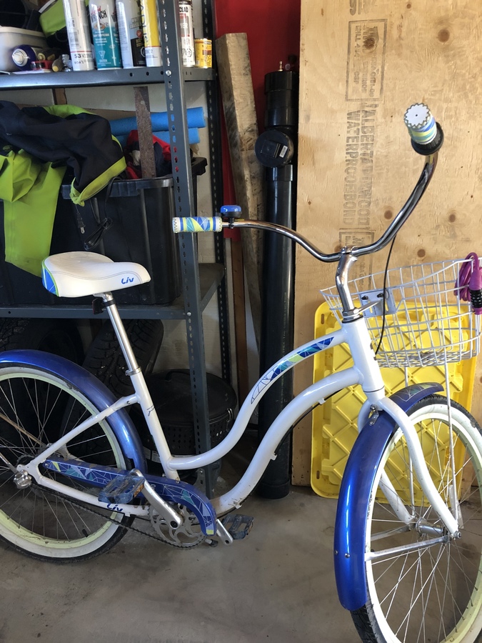 2017 Giant Simple 3 cruiser