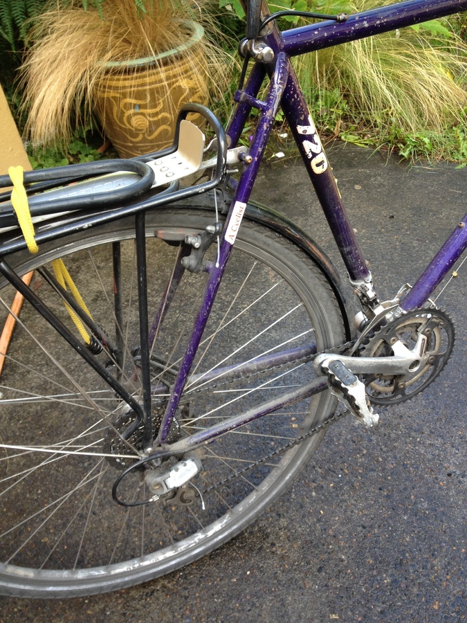 Trek Multi-Track 720