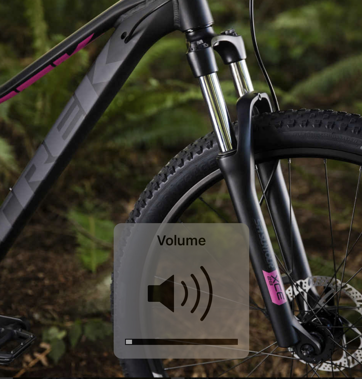 Stolen 2015 Trek SKYE SLX Women