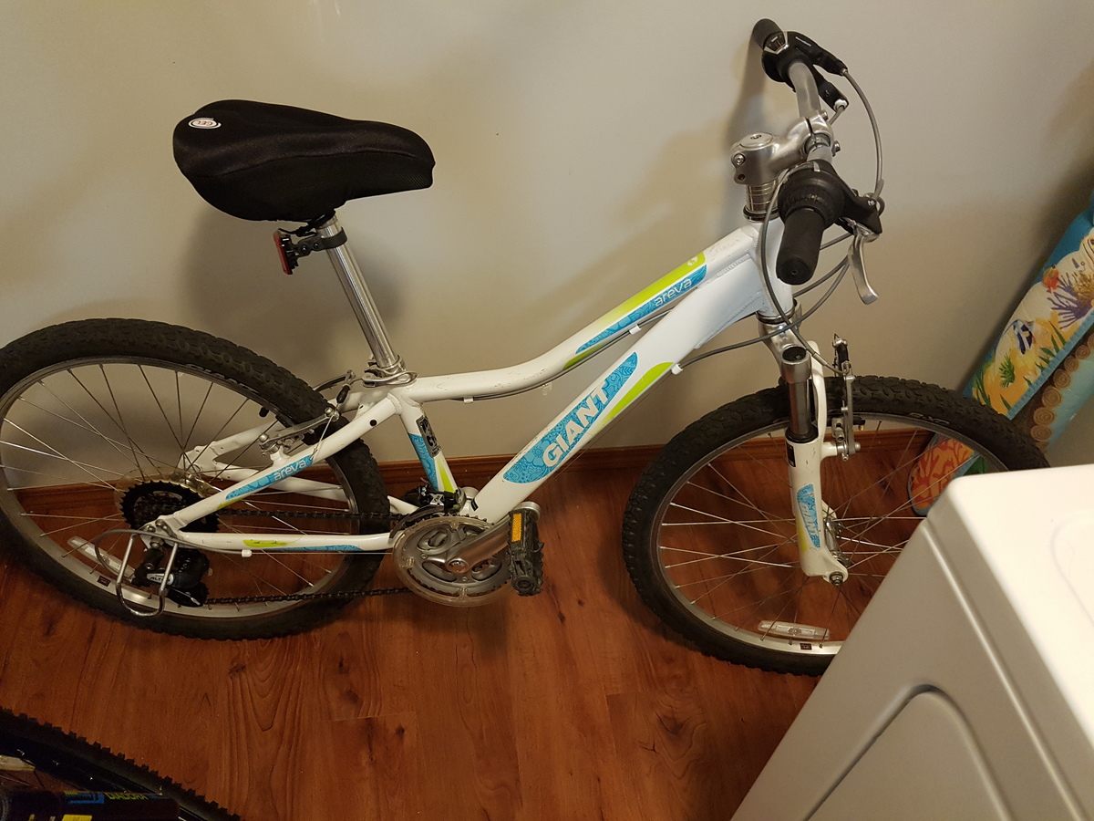 2014 Giant Areva 24