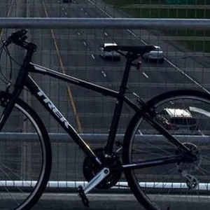 Stolen 2018 Trek FX1