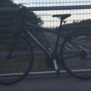 Stolen 2018 Trek FX1