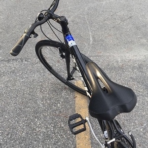 Stolen 2018 Trek FX1