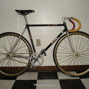 Stolen 2009 Samson Track bike