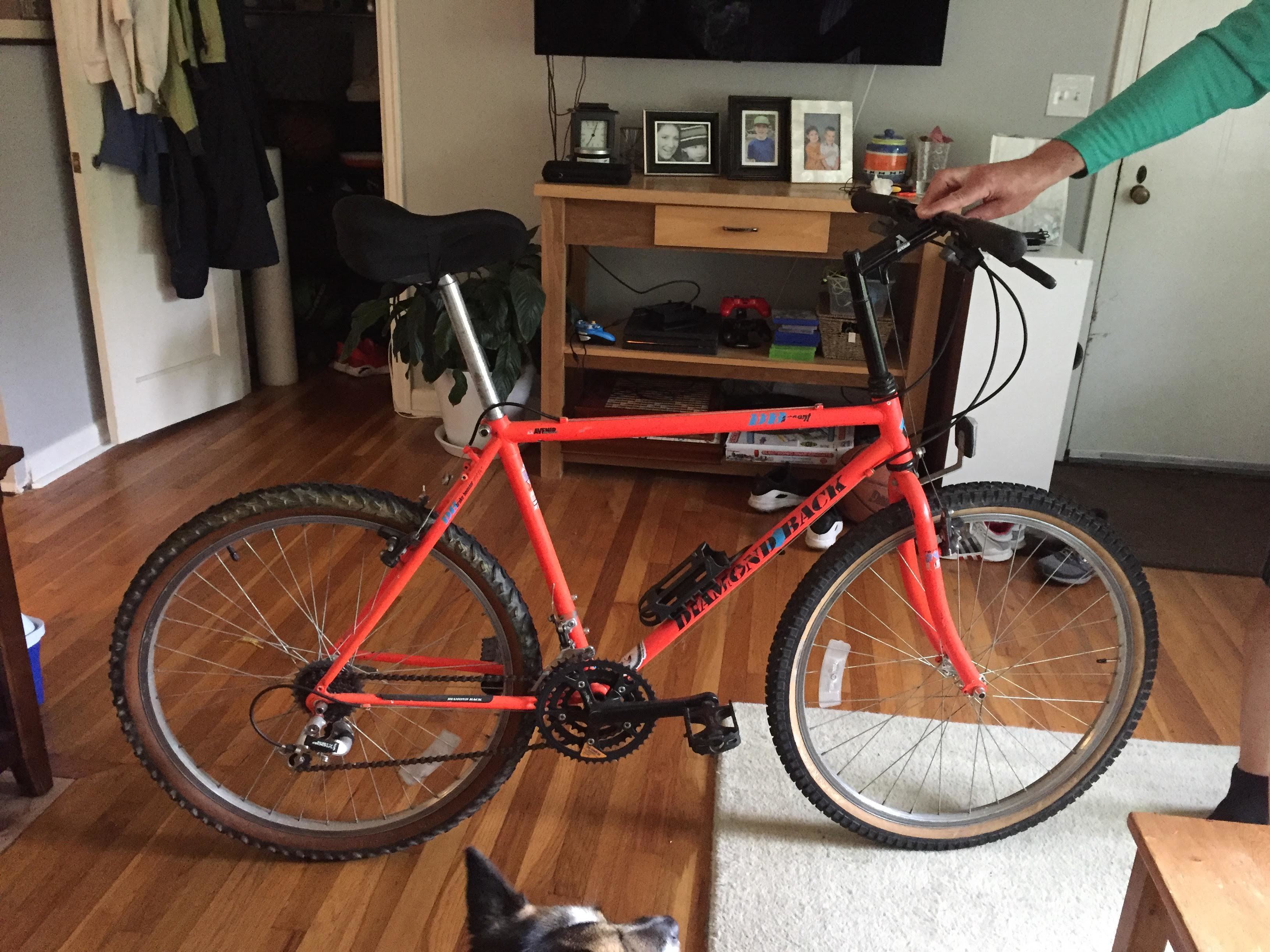 Diamondback DB Ascent