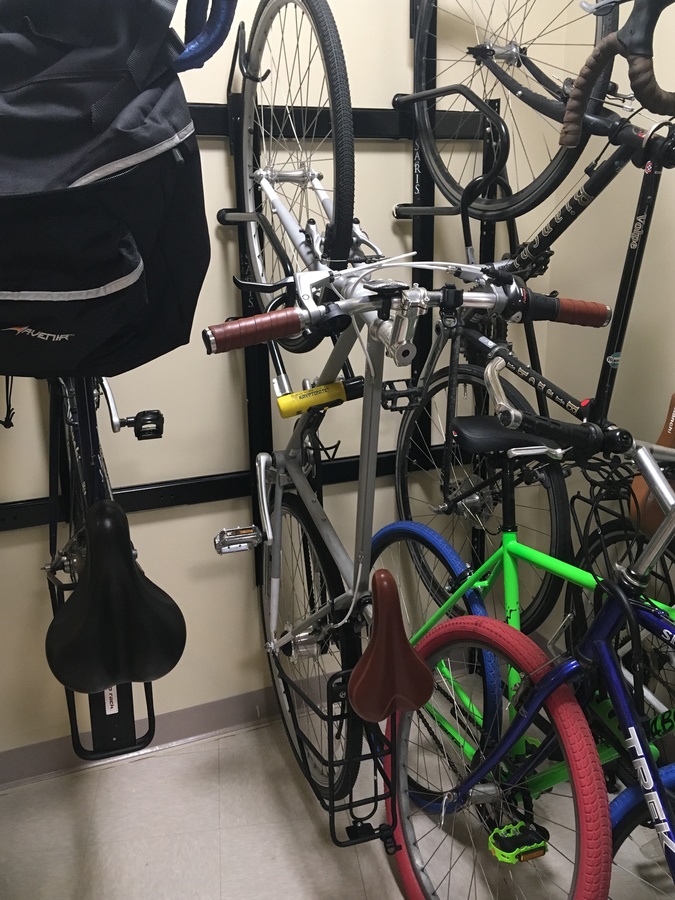 2019 Brilliant Bicycle L Train