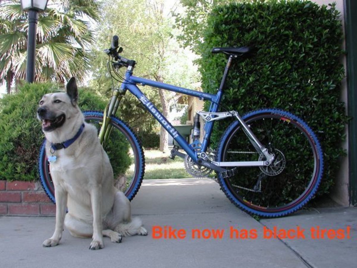 Stolen 2001 Ellsworth Truth