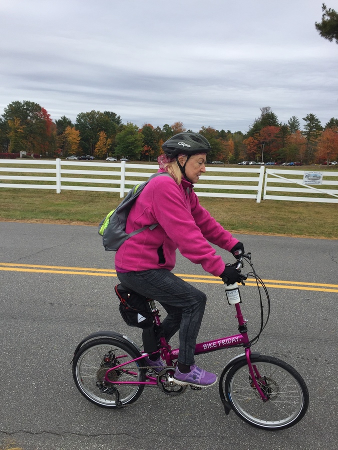 2019 Bike Friday Folding New World Tourist