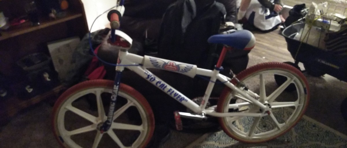 2018 SE Bikes So cal flyer