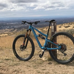 2019 Ibis Ripmo