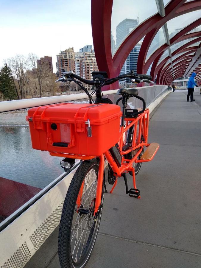 2019 Rad Power Bikes RadWagon JB-TDE28Z cargo bike (rear storage)