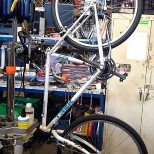 Trek Antelope 820