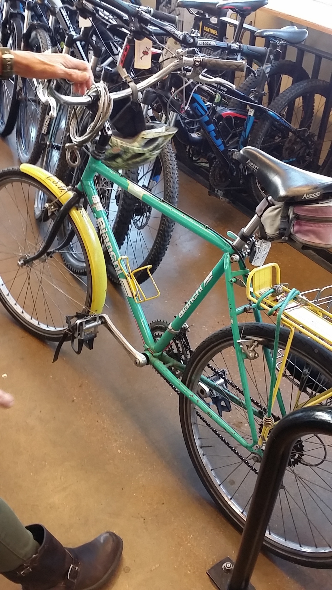 Bianchi Lugged Frame