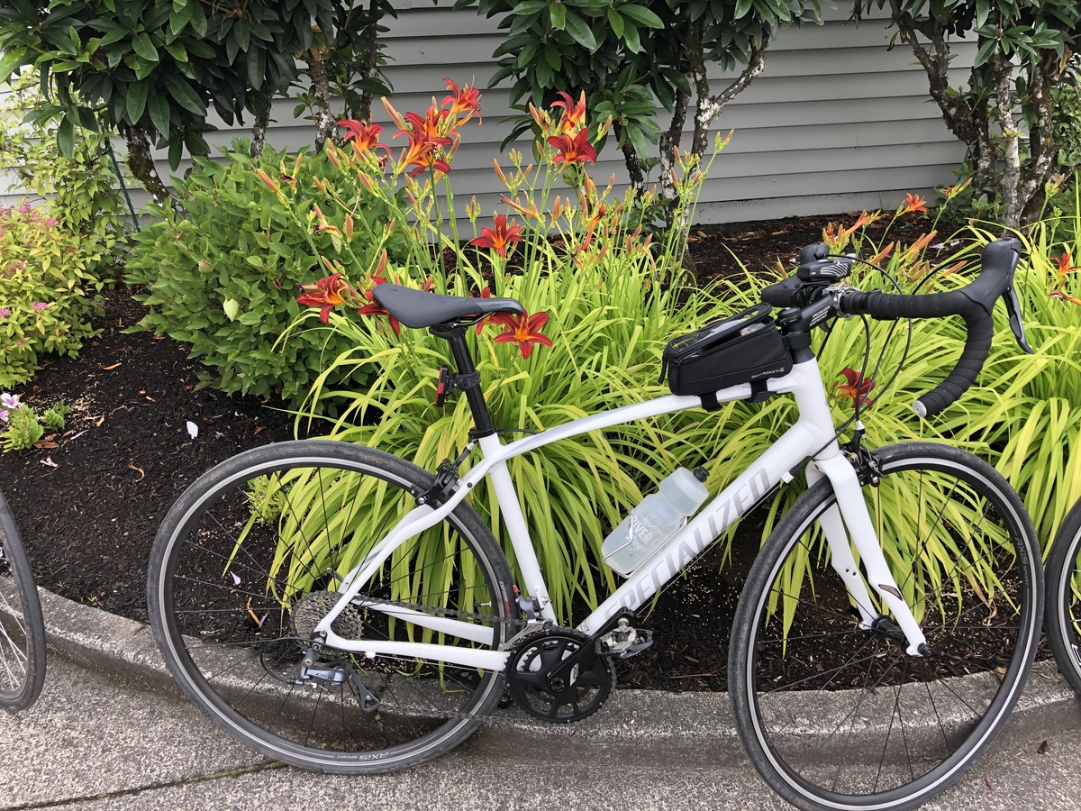 2016 Specialized Dolce