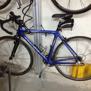 Stolen 2006 Trek 5000WSD